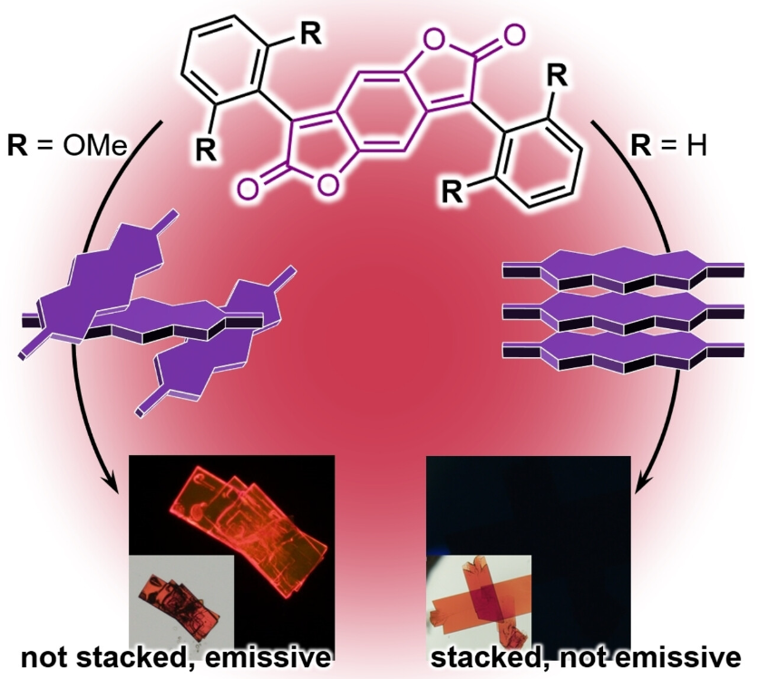 HOME | 静岡大学 関朋宏
